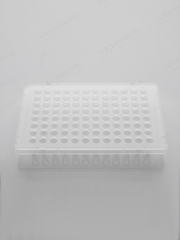 96 well PCR Plate - Hangzhou Zhejiang Youlai Biotechnology