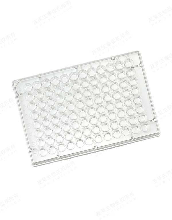 Cell Culture Plate